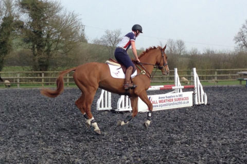 Riding Arena | Equestrian Arena Surfaces | Equestrian Direct