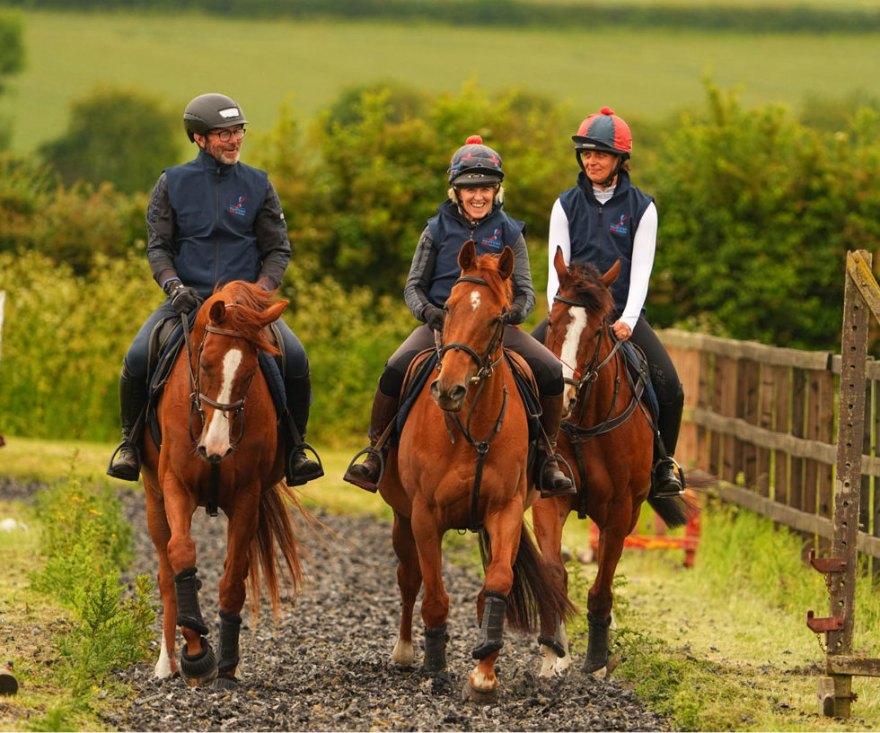 Equestrian Surfaces | Horse Riding Arena | Equestrian Direct