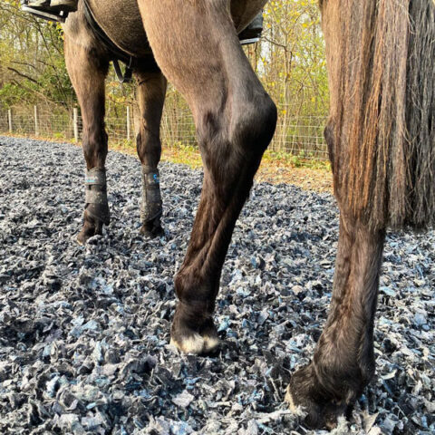 Flexiride® - Horse Riding Arenas, Equestrian Surface - Equestrian Direct