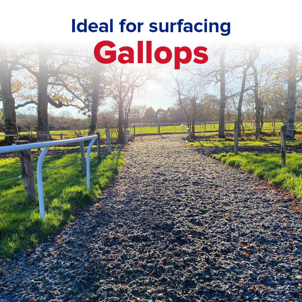 Win - Equestrian Direct